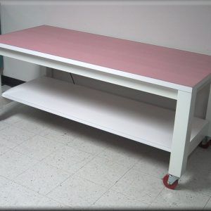 RDM - WorkBench A-109P-WD (Wood Frame Lab Table)